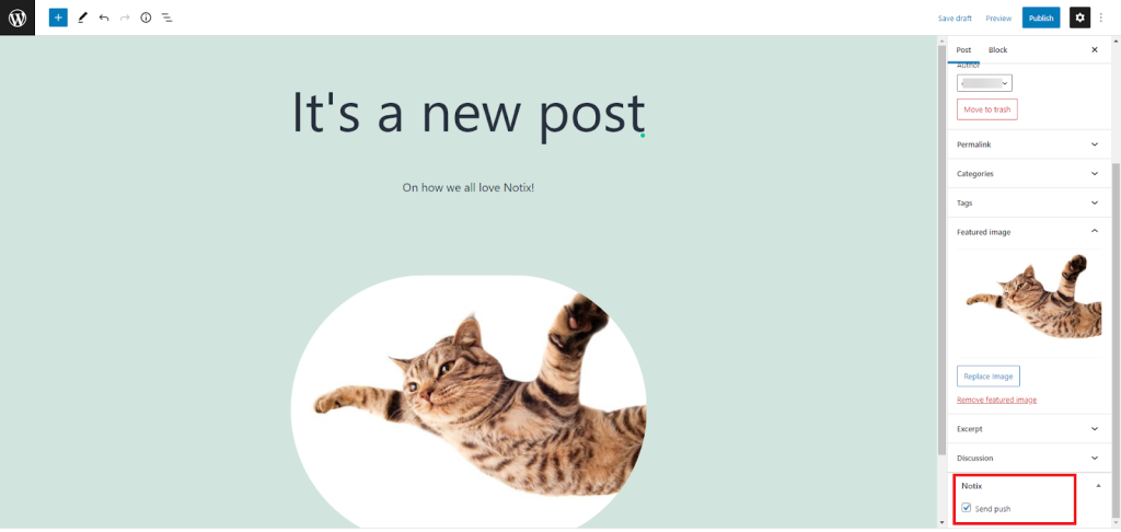 Notix Plugin for WordPress: the Ultimate Guide 101 - Notix